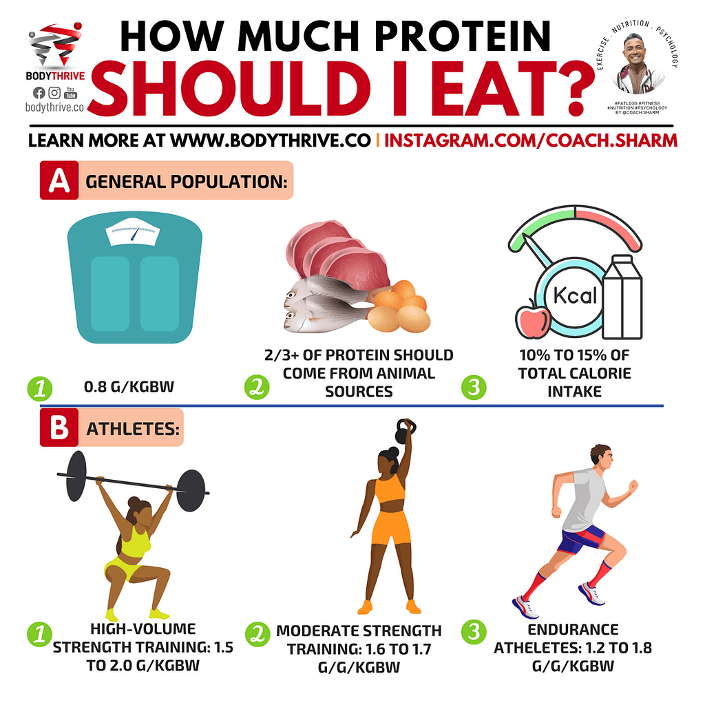 The Power Of Protein: Perspective From A Personal Trainer In Singapore ...